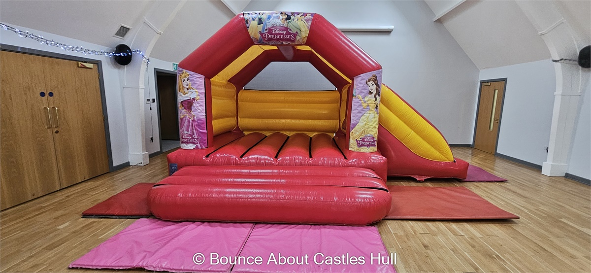 Disney Princess - Bouncy Castle Artwork - Bouncy Castle Hire, Bouncy ...